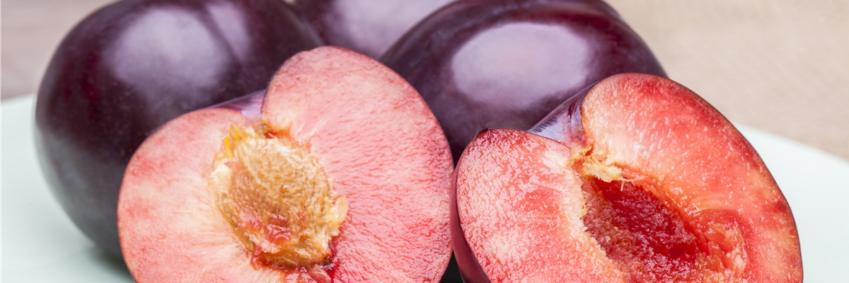 ROTES OBST & GEMüSE! - Gärtnerei Schliebener